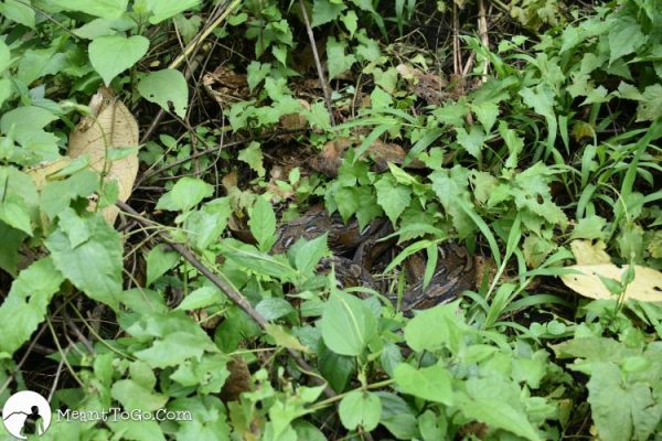 Visiting Tudaya Falls: Unforgiving, Rewarding
