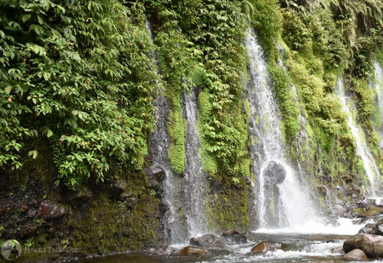 Mini Asik Asik in Brgy. Carmen, Baguio District, Davao City