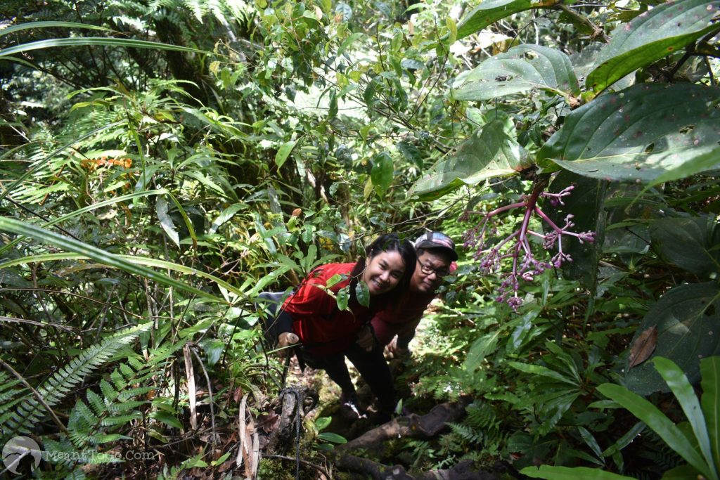 Sicao Falls Travel Guide: Things You Need To Know Before Trekking