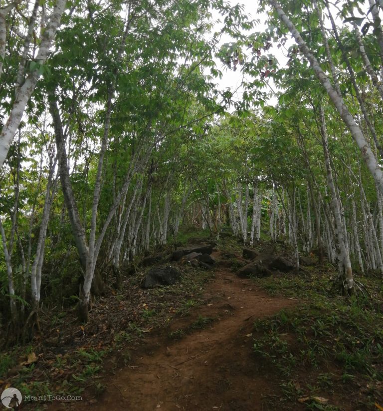 A Day Hike Guide To Mt. Loay (Traverse Langan Falls) - 11 Things To ...