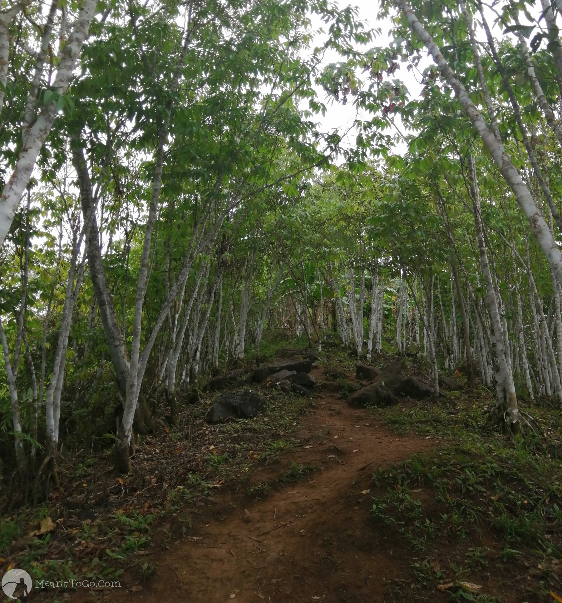 A Day Hike Guide To Mt. Loay (Traverse Langan Falls) - 11 Things To ...