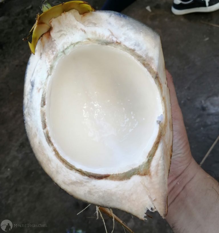 A Day Hike Guide To Mt. Loay (Traverse Langan Falls) - 11 Things To ...