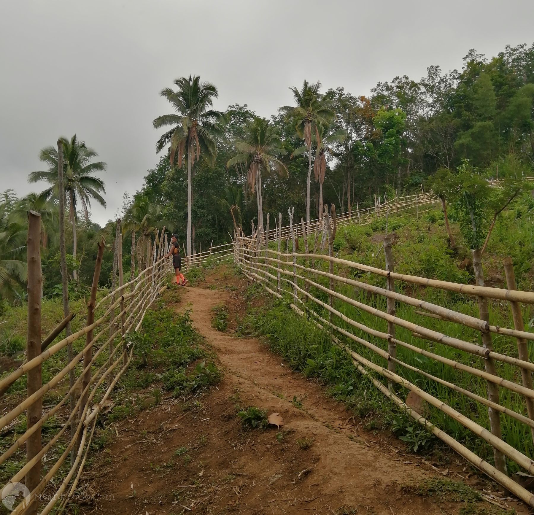 A Day Hike Guide To Mt. Loay (Traverse Langan Falls) - 11 Things To ...