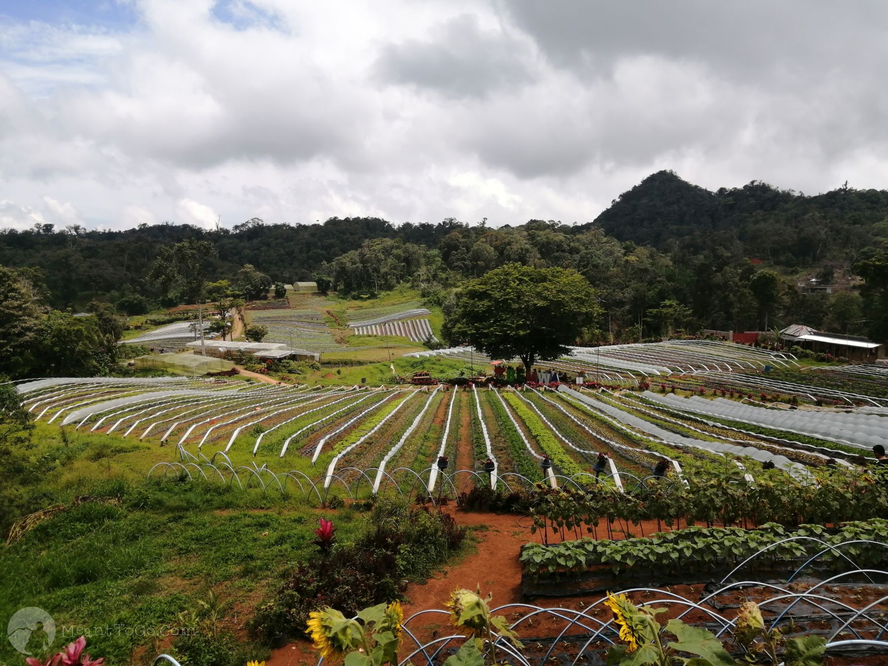 Buda Travel Guide: Places To Visit + Itinerary & Budget + Tips