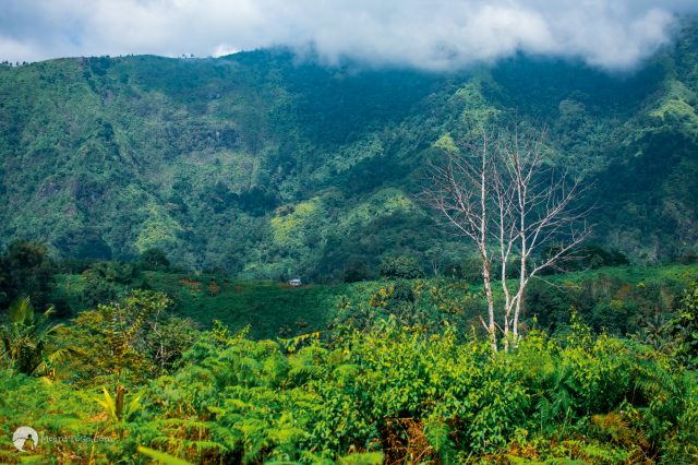 Scaling The Summit Of Mount Dinor? Read This First (A Hiking Guide)