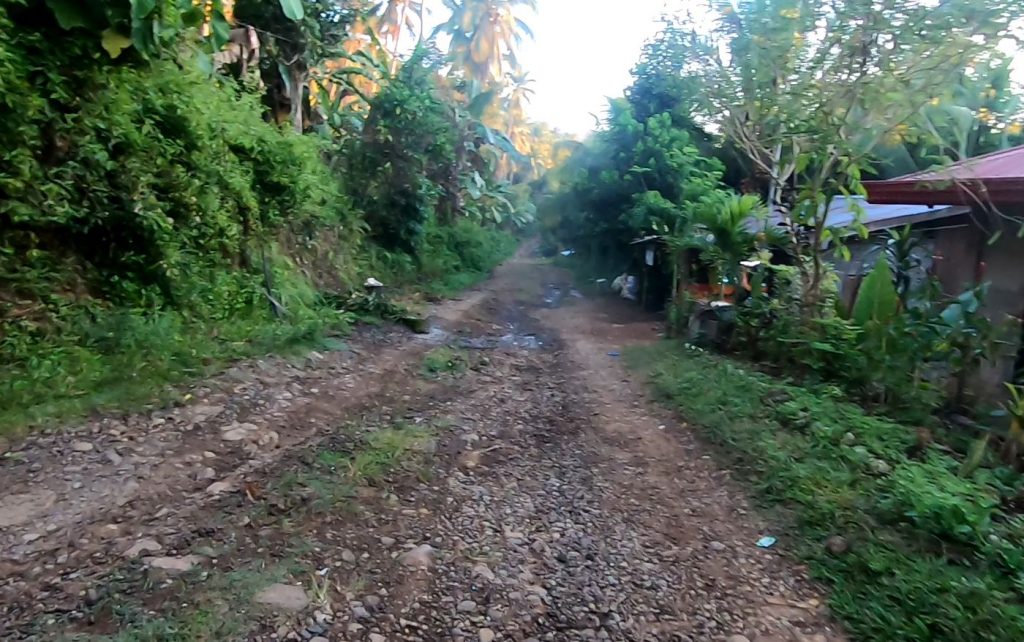 Scaling The Summit Of Mount Dinor? Read This First (A Hiking Guide)