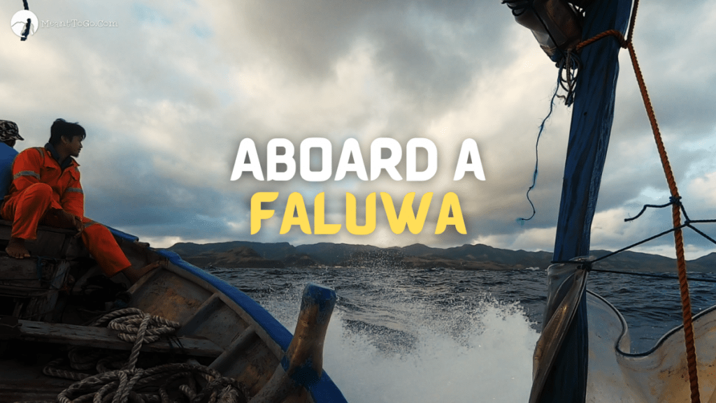 A Helluva Faluwa Ride