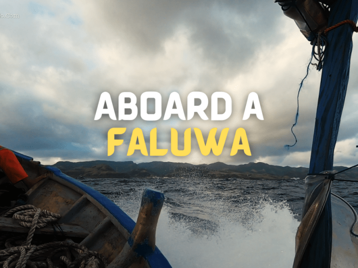 meanttogo.com - Budget Travel Guides, Travel Tips, Reviews, Sample ...